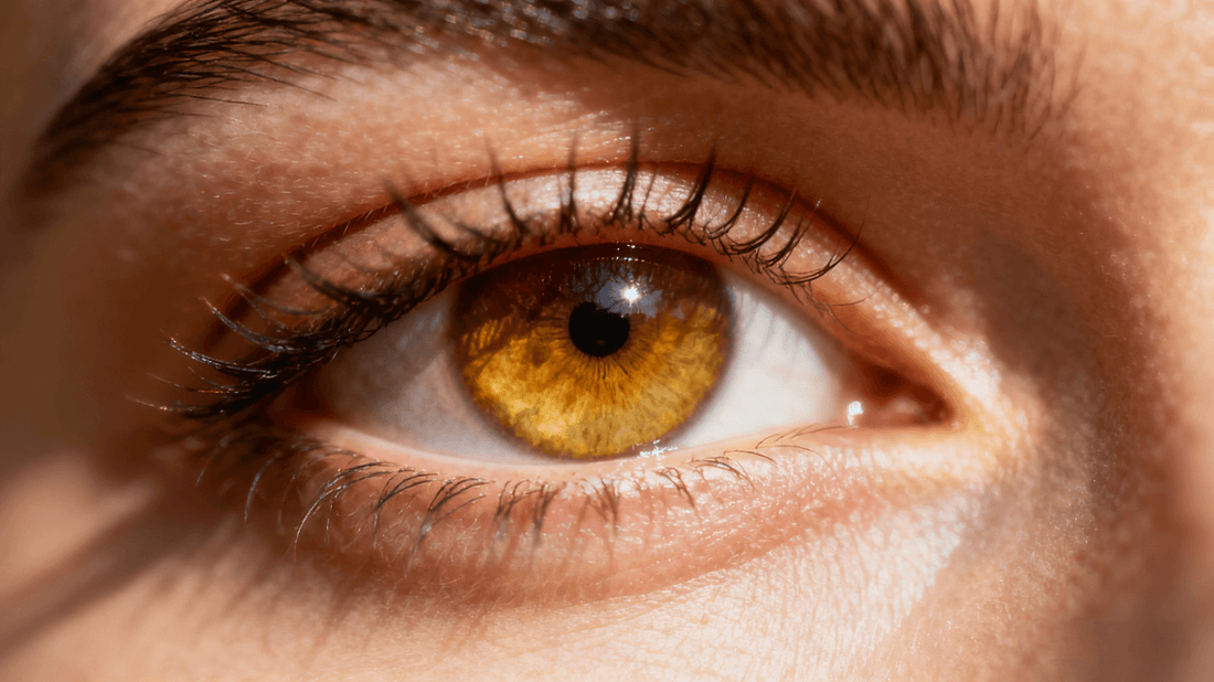 Gray Hazel Eyes: A Rare Blend of Mystery and Warmth – Wooeye